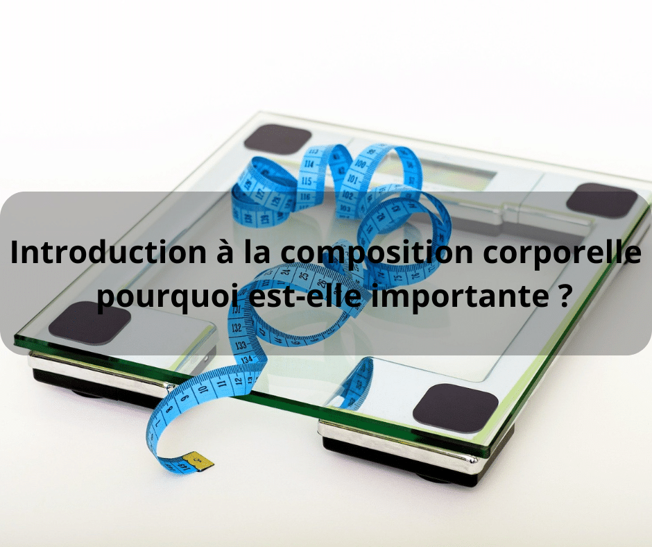 Introduction à la composition corporelle : pourquoi est-elle importante ...